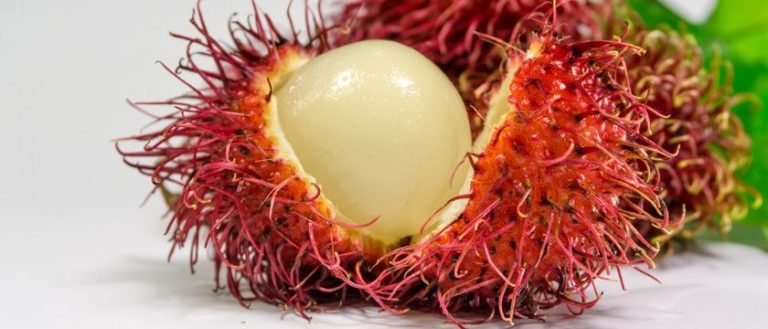 Rambutan | Overview | Nutritional Value | Health Benefits | Side Effects