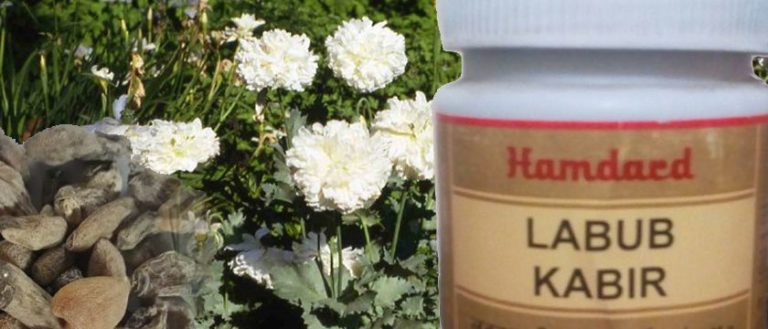 Labub Kabir | Ingredients | Health Benefits | Side Effects | Dosage